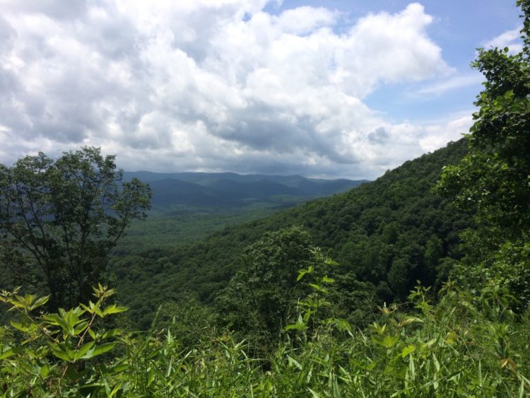 North Georgia hiking trails to be improved by public/private ...