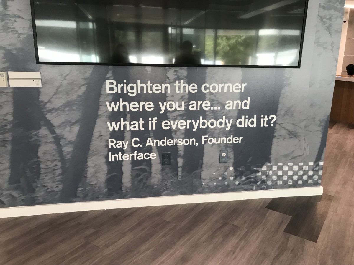 Carpet giant’s new HQ showcases environmental commitment – SaportaReport