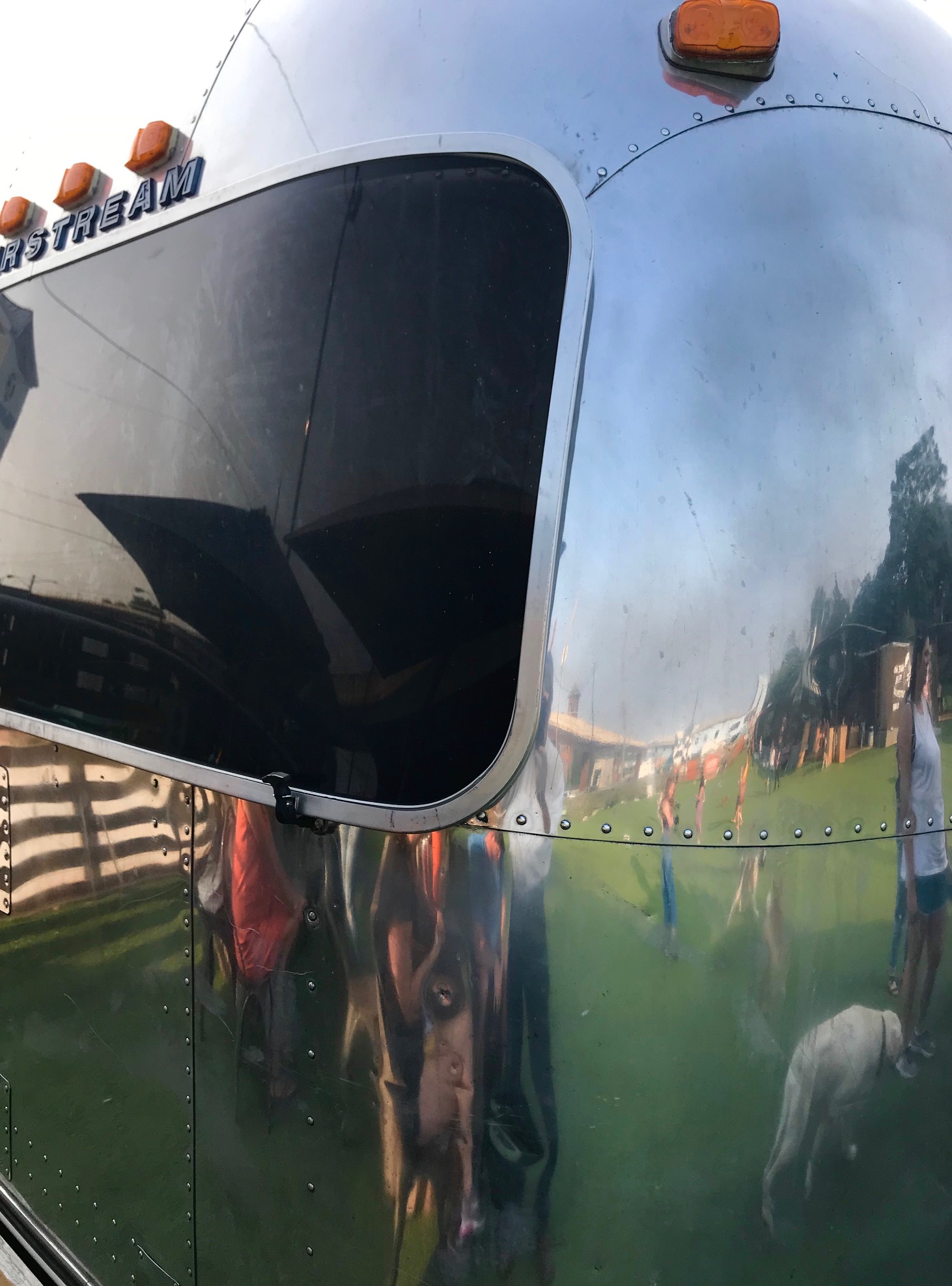 Eleanor Ringel Cater – SaportaReport